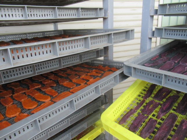 今月のお宝ほしいも - 干し芋（ほしいも・干しいも）のタツマ