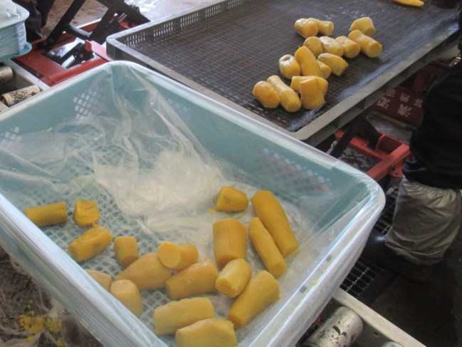 今月のお宝ほしいも - 干し芋（ほしいも・干しいも）のタツマ