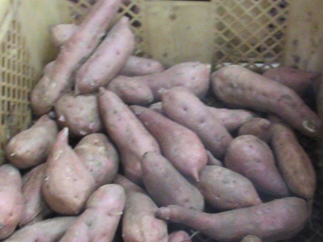 今月のお宝ほしいも - 干し芋（ほしいも・干しいも）のタツマ