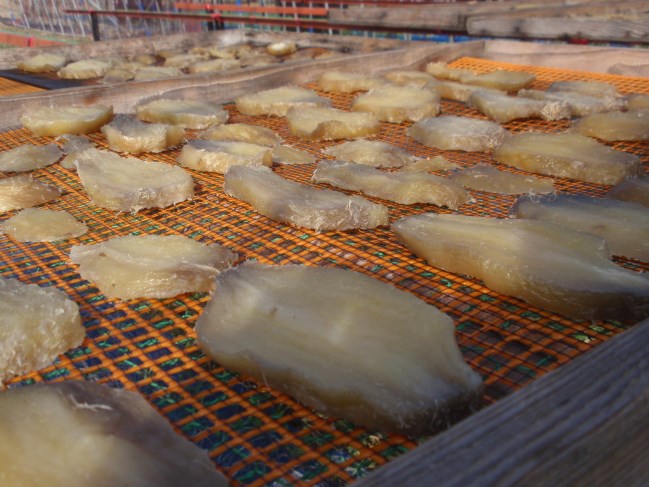 今月のお宝ほしいも - 干し芋（ほしいも・干しいも）のタツマ