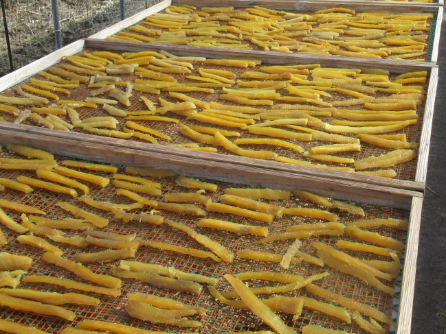 今月のお宝ほしいも - 干し芋（ほしいも・干しいも）のタツマ